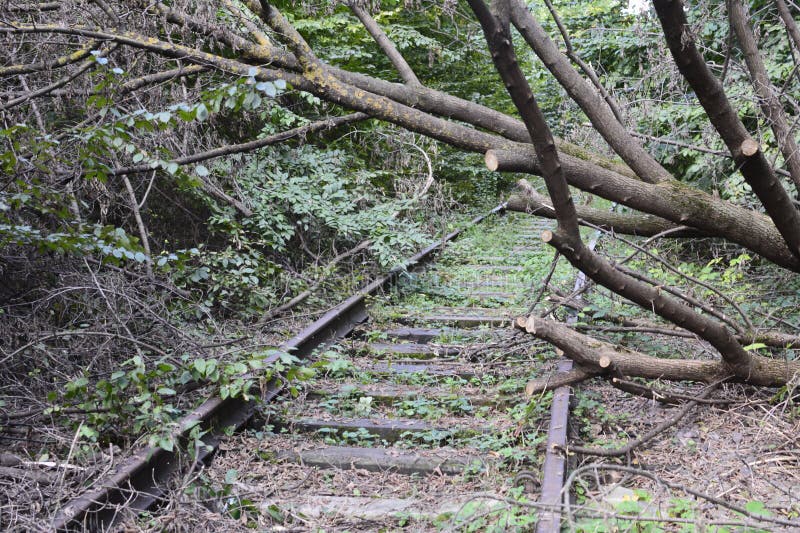 A Tree Fell on a Railroad Track Stock Photo - Image of rural, people ...