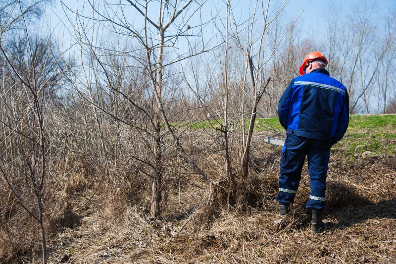 Tree Felling with a Large Chainsaw Stock Photo - Image of tree, garden ...