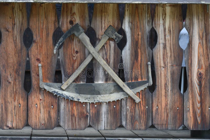 Tree Felling and Logging in the Forest Stock Photo - Image of logging ...