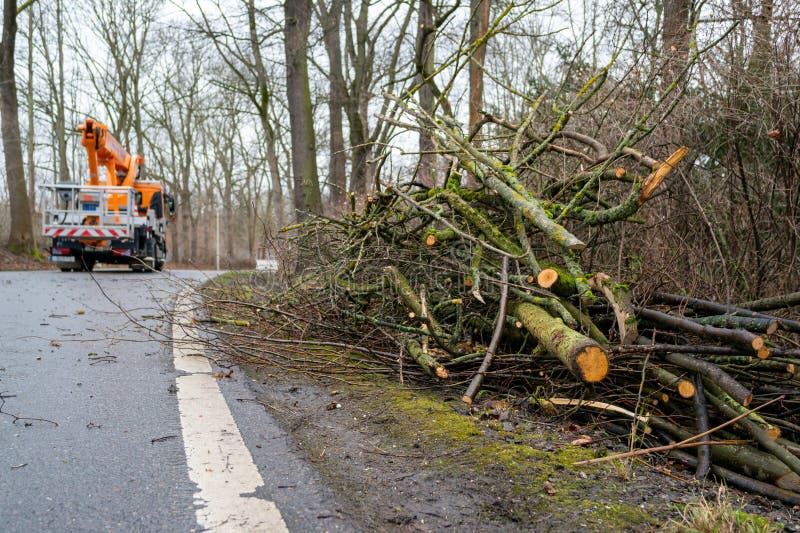 Tree Felling Work on a Road in Spring with a Lifting Platform Stock ...