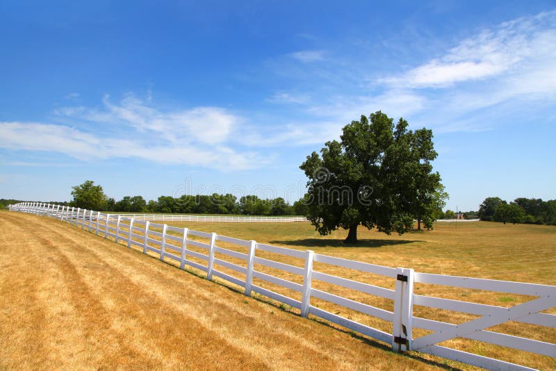 Tree and fence stock image. Image of places, view, pasture - 26511983