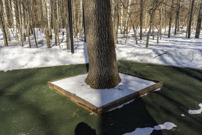 441 Bard Tree Stock Photos - Free & Royalty-Free Stock Photos from ...