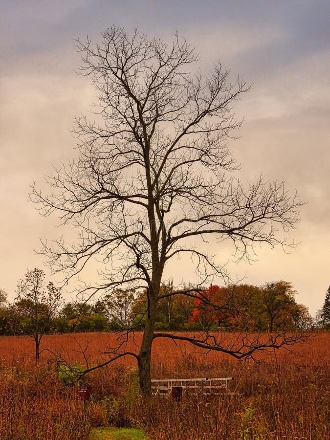 Stormy May Morning at Lyme Regis Stock Image - Image of regis, morning ...