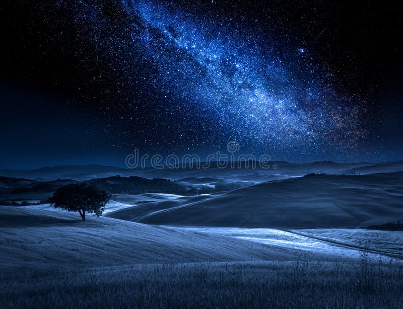 Tree on Field in Summer at Night with Milky Way Stock Photo - Image of ...