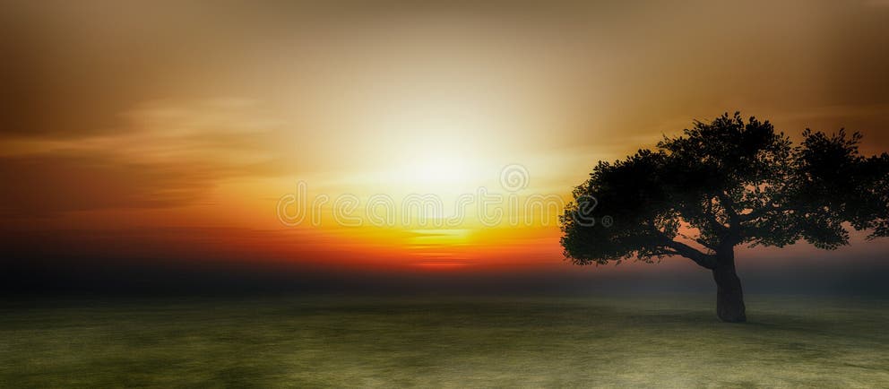 Tree on Field Sunrise 3d Render Stock Illustration - Illustration of ...