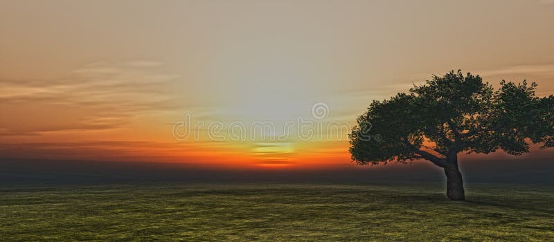 Tree on Field Sunrise 3d Render Stock Illustration - Illustration of ...