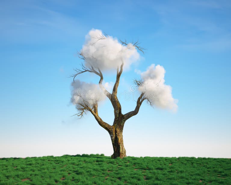 Tree on Field with White Cloud. Dream Big and Achievement Concept Stock ...