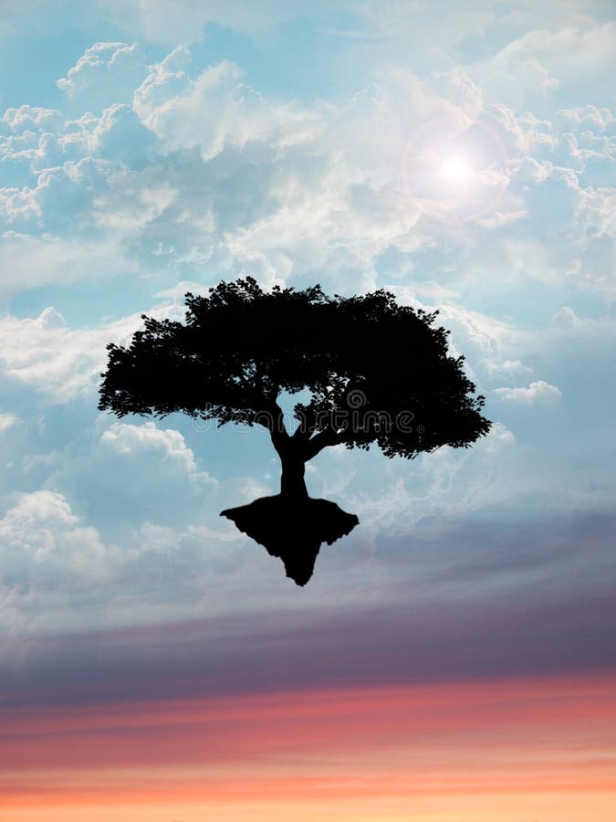 300+ Tree floating Free Stock Photos - StockFreeImages