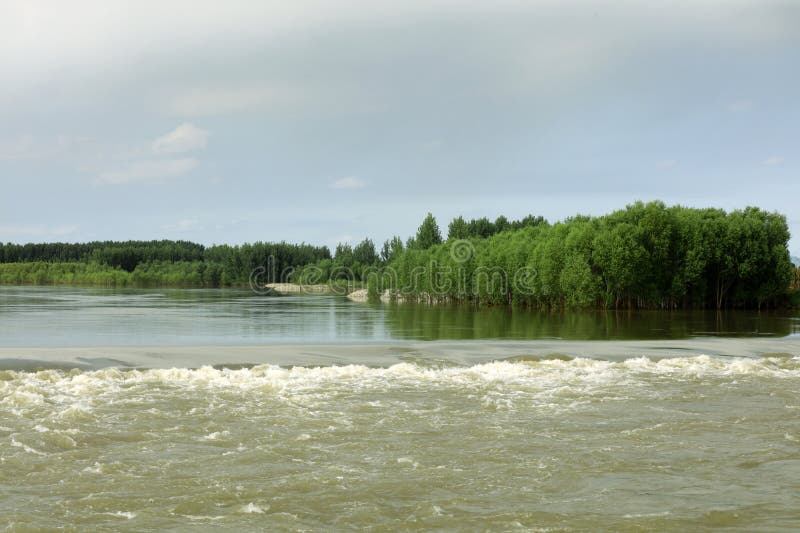 Tree in flood stock photo. Image of deluge, disaster - 369394256
