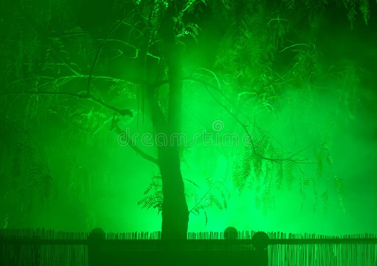 Tree in Fog and Night Illumination Stock Photo - Image of vivid, mist ...