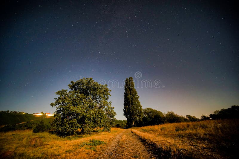 Tree in the Fog , Night Sky with Stars, Wide Angle Stock Image - Image ...