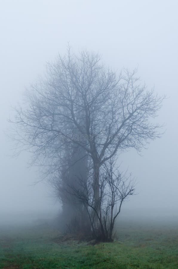 Naked Chil Stock Photos - Free & Royalty-Free Stock Photos from Dreamstime