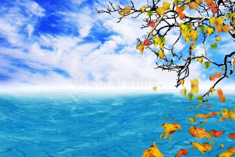 Tree in the Foreground with Falling Leaves Stock Photo - Image of ...