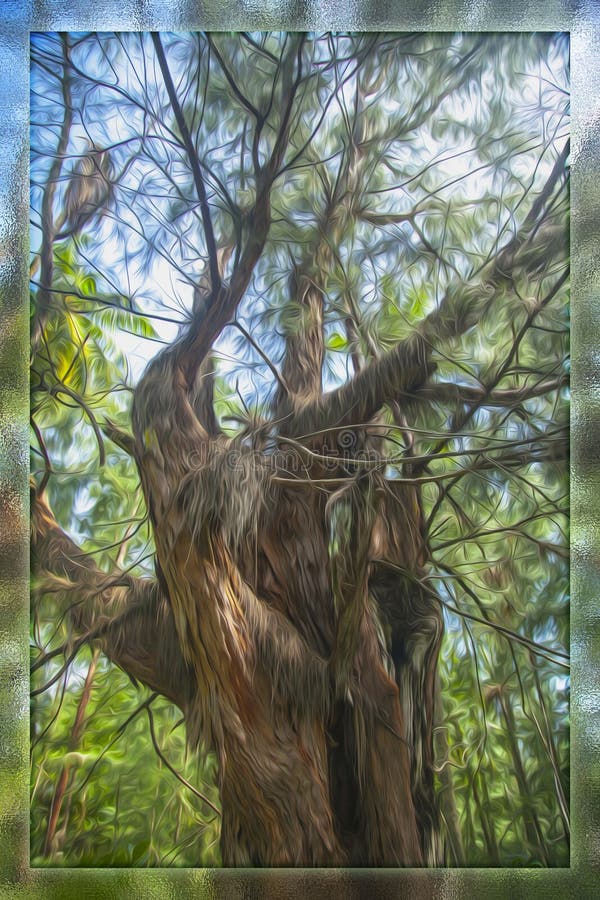 Tree in the Forest and in a Glass Box Stock Photo - Image of island ...