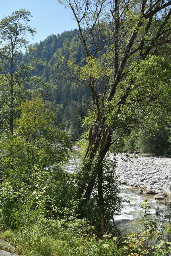 Riverside Tree Stump With Mountains At Sunrise Stock Photo - Image of ...