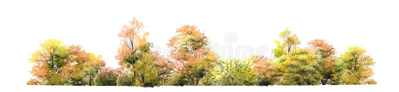 Autumn Tree or Forest Side View Isolated on White Background for ...