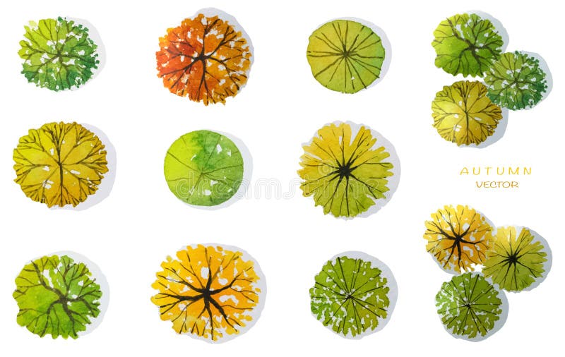 Tree or Forest Side View Isolated on White Background for Landscape ...