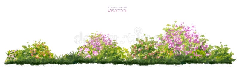 Tree or Forest Side View Isolated on White Background for Landscape ...