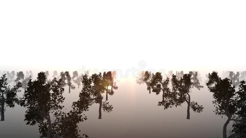 Tree Forest Silhouette Loop Animation Stock Footage - Video of animated ...