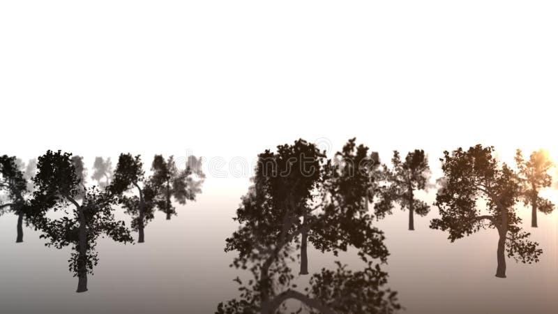 Tree Forest Silhouette Loop Animation Stock Footage - Video of animated ...