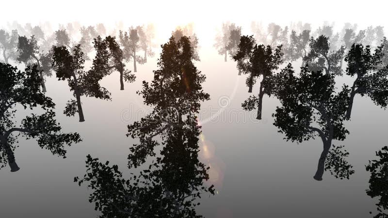 Tree Forest Silhouette Loop Animation Stock Footage - Video of animated ...