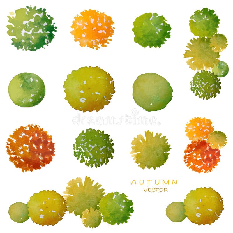 Tree or Forest Top View Isolated on White Background for Landscape Plan ...