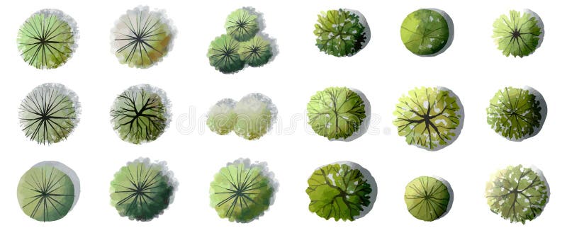 Tree or Forest Top View Isolated on White Background for Landscape Plan ...