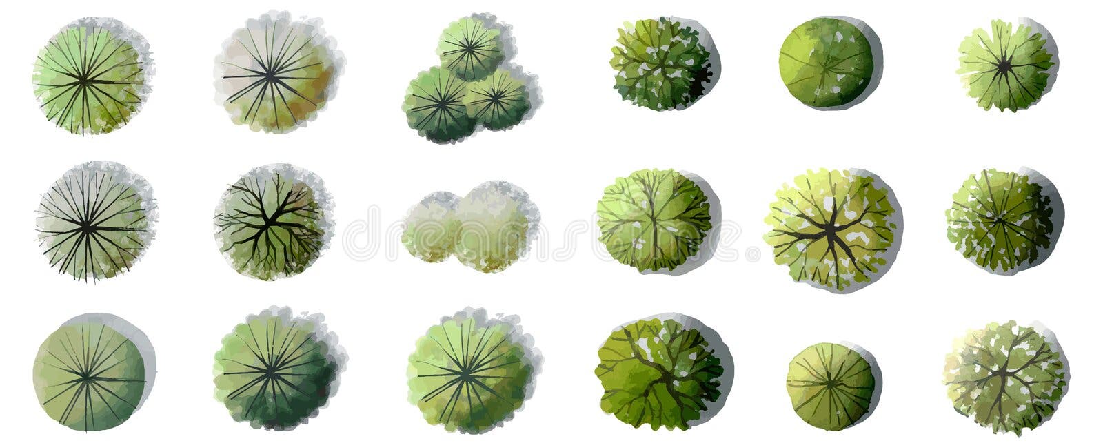 Tree or Forest Top View Isolated on White Background for Landscape Plan ...