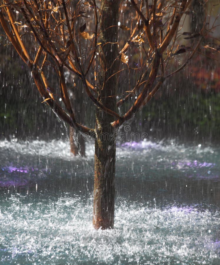 The tree in the fountain stock image. Image of green - 17755409