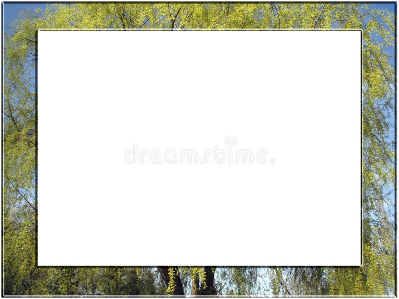 Tree frame stock photo. Image of clouds, white, plants - 12920620
