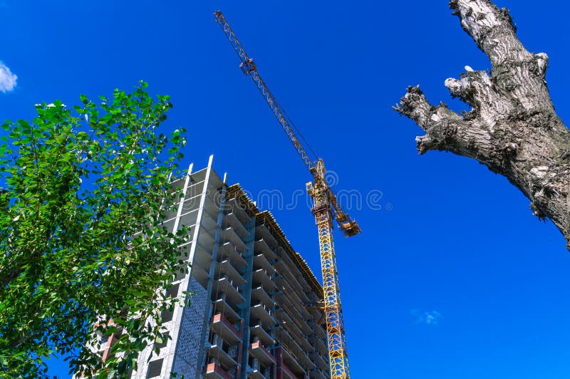 A Tree and a Frame.of a Multi-storey Building Under Construction Stock ...