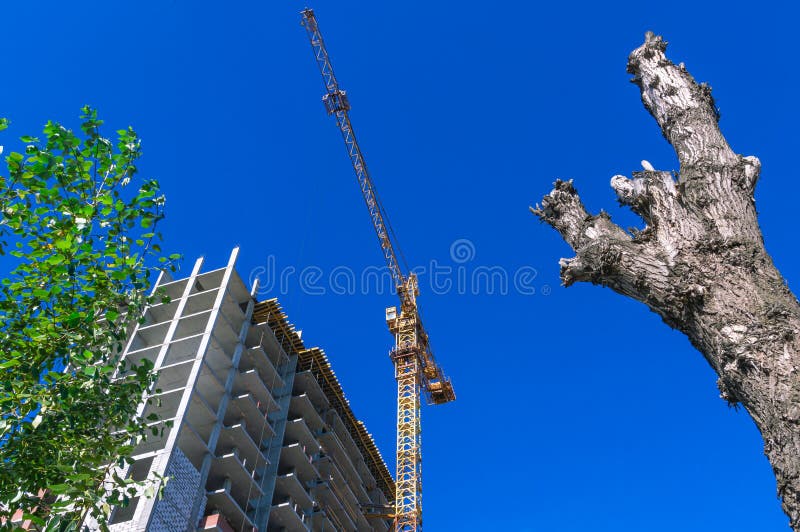 A Tree and a Frame.of a Multi-storey Building Under Construction Stock ...