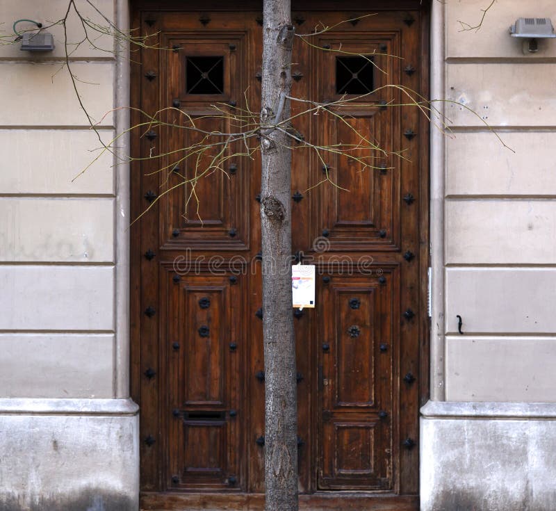 The Tree in Front of the Door Series NÂº 60 Stock Image - Image of ...