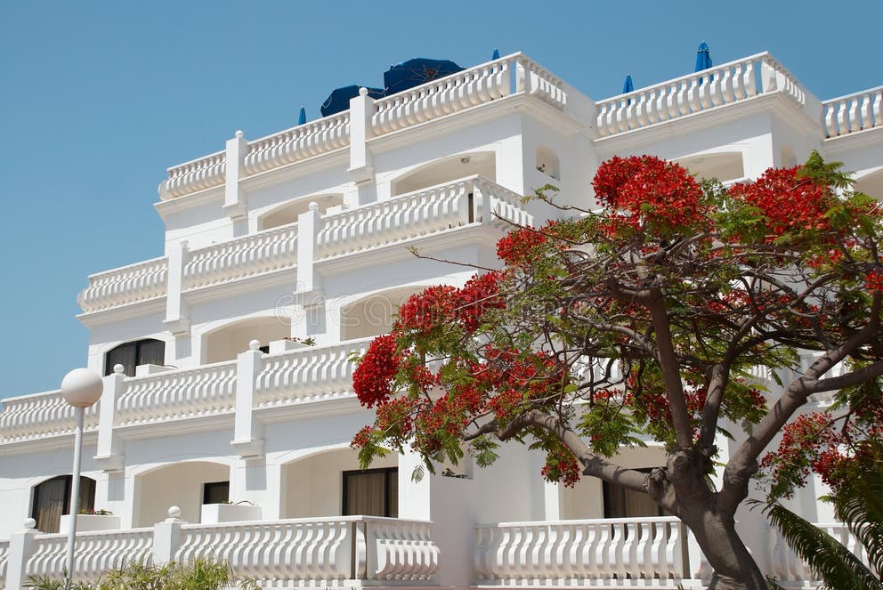 Tree in Front of Luxury Hotel Stock Photo - Image of paradise, building ...