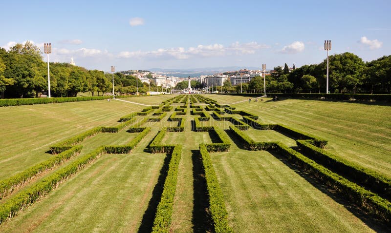 Tree Front Plaza stock image. Image of beautiful, vacation - 15323321