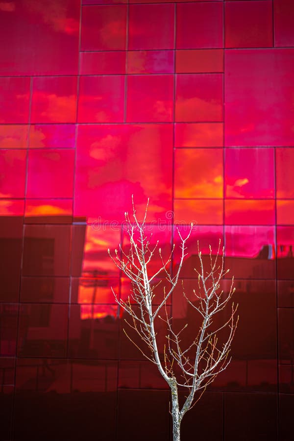 Red Glass-walled Building stock photo. Image of geometric - 244626340