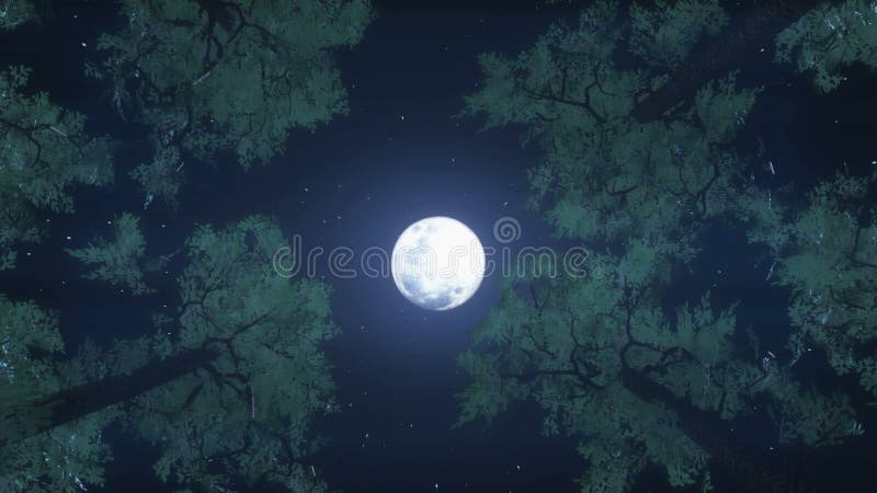 Tree Full Moon Night Computer Graphics Stock Video - Video of full ...