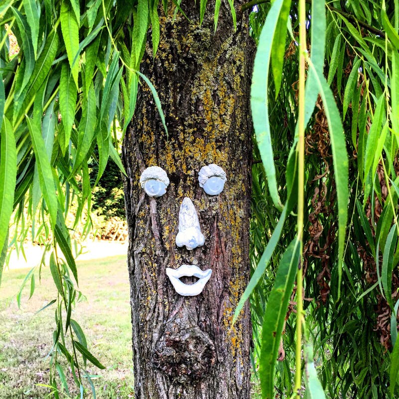 Tree with a funny face stock image. Image of leafy, eyes - 56609403