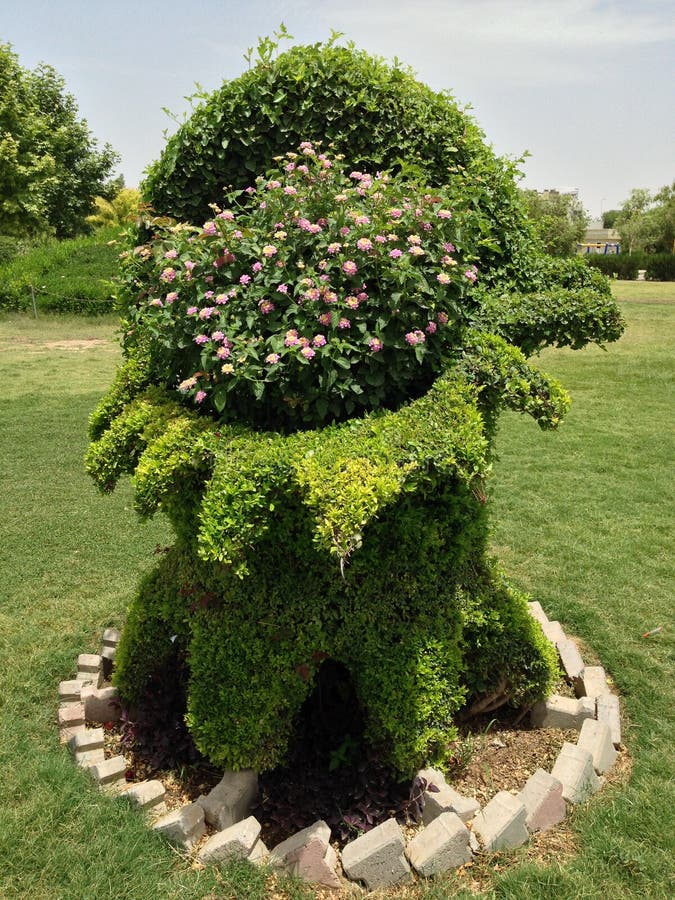 Tree in garden stock image. Image of minara, decorative - 31452229