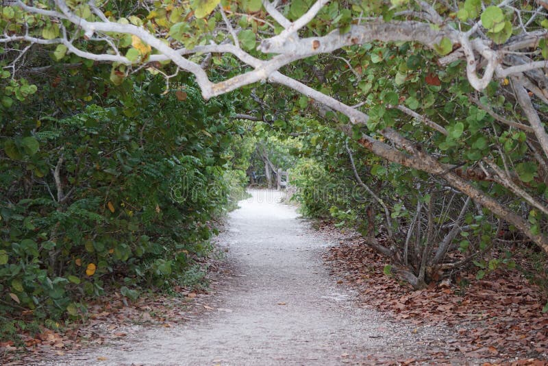 Tree gate stock image. Image of tree, parted, place, beautifully - 60828771