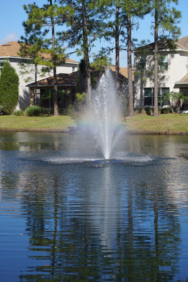 Tree, Geyser and a Small Pond Stock Photo - Image of rainbow, sunlight ...