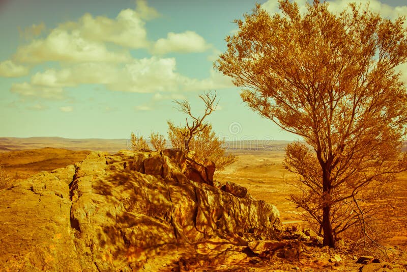 Tree Giving Some Shadow in the Outback Stock Image - Image of freedom ...