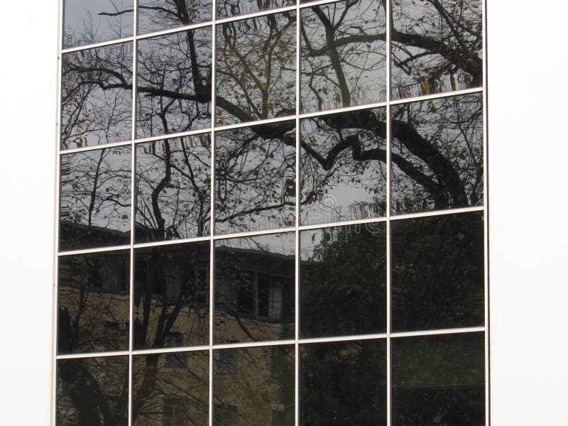 Tree in the glass stock image. Image of reflected, checked - 46216235