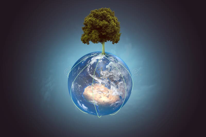 Tree on a globe stock image. Image of tree, reserve - 168629261
