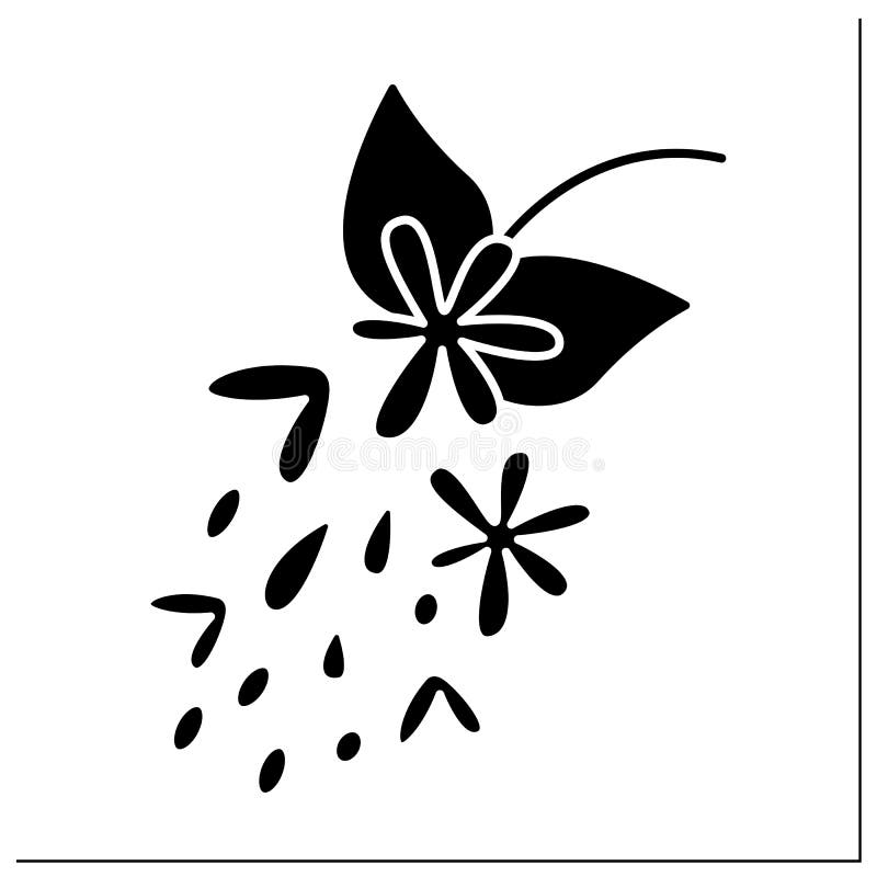 Flower Golden Shower Tree Thai National Stock Illustrations 16 Flower