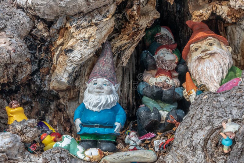 Tree Gnomes in Sturgeon stock image. Image of america - 240509679