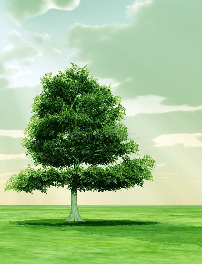 Tree in the god rays stock illustration. Illustration of open - 12350224