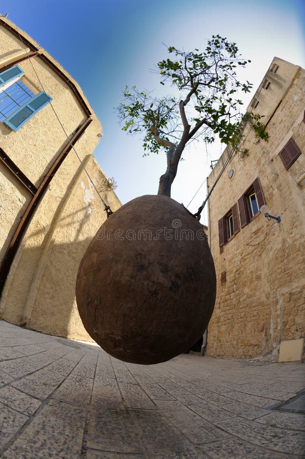 Tree Of The Good Fortune Picture. Image: 9747031