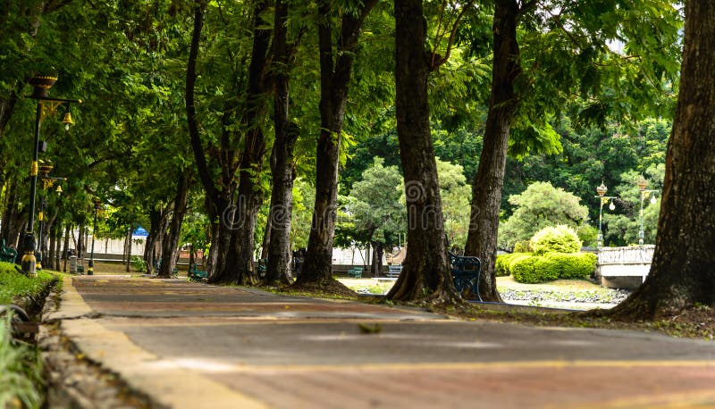 145 Graden Road Stock Photos - Free & Royalty-Free Stock Photos from ...