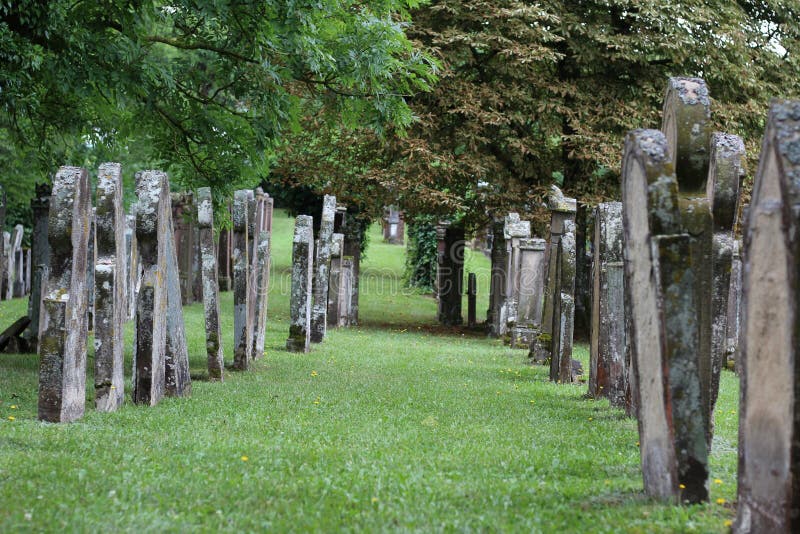 Tree, Grass, Cemetery, Outdoor Structure Picture. Image: 120115330